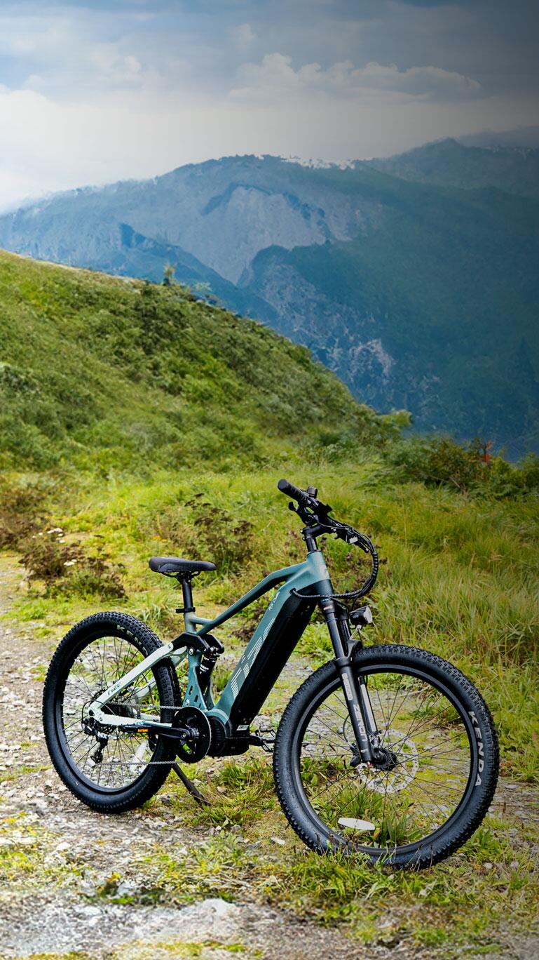 Rize Bikes: Elite E-Bikes for Superior Range & Free Shipping