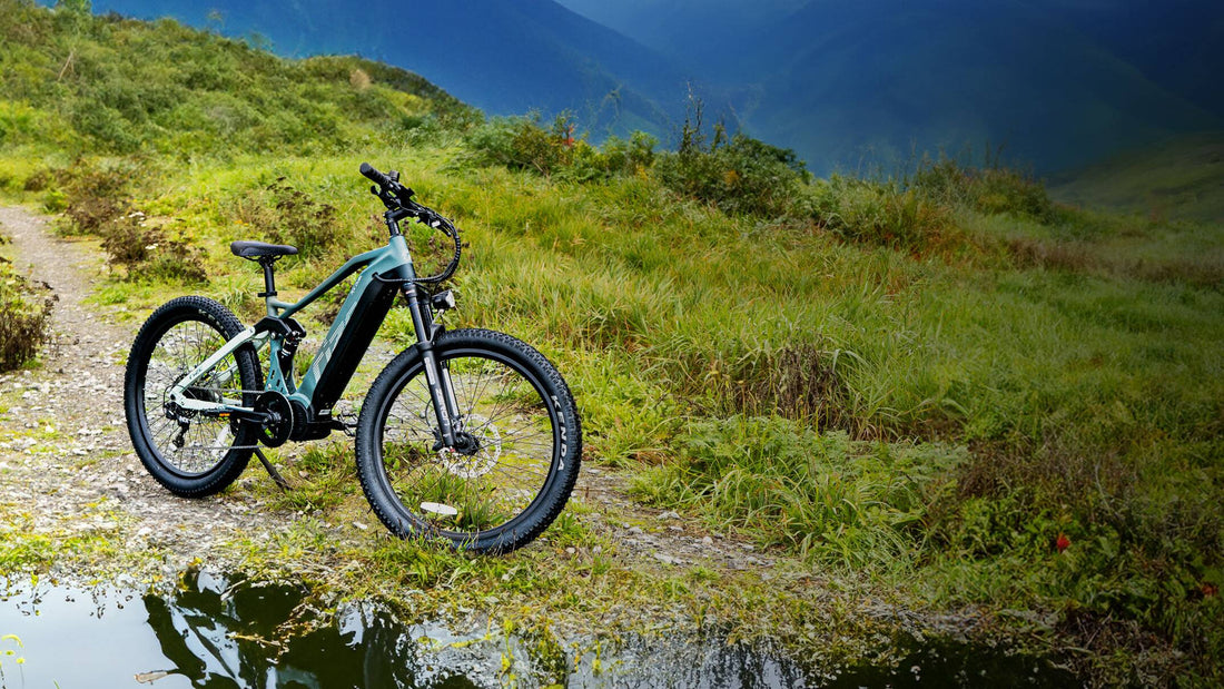 Rize Bikes: Elite E-Bikes for Superior Range & Free Shipping